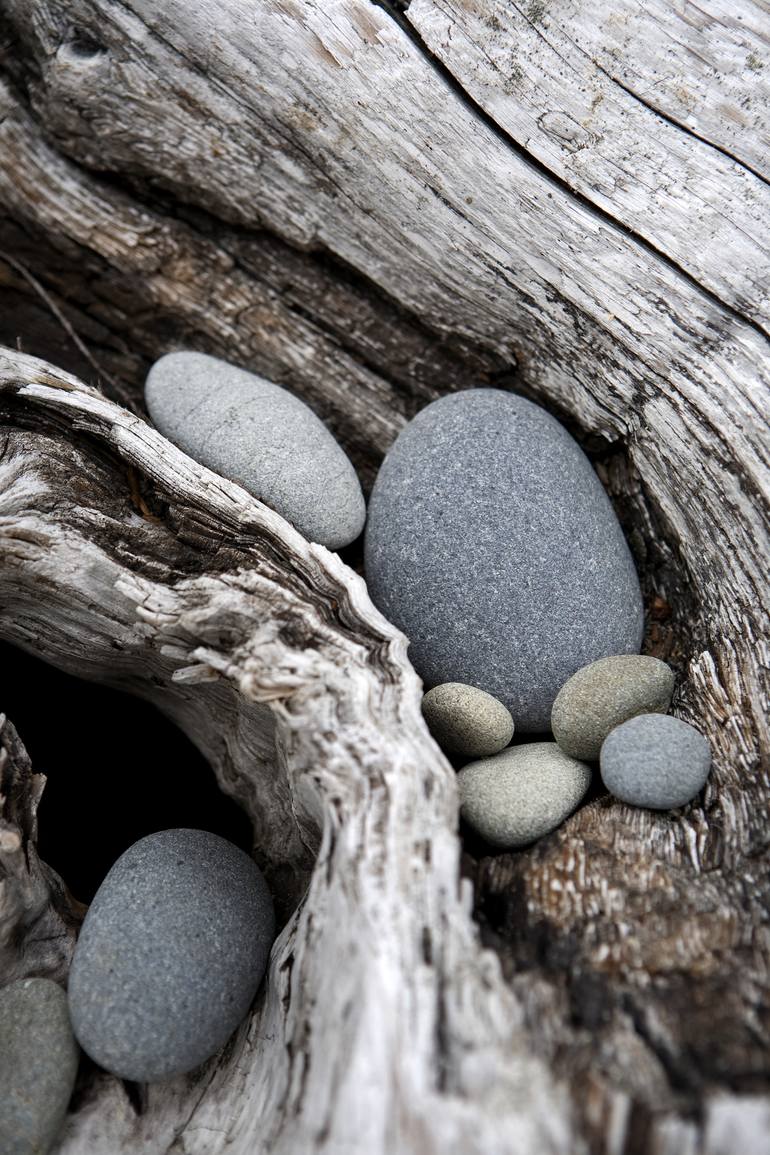 Nestled Photography by Dasha Wright | Saatchi Art