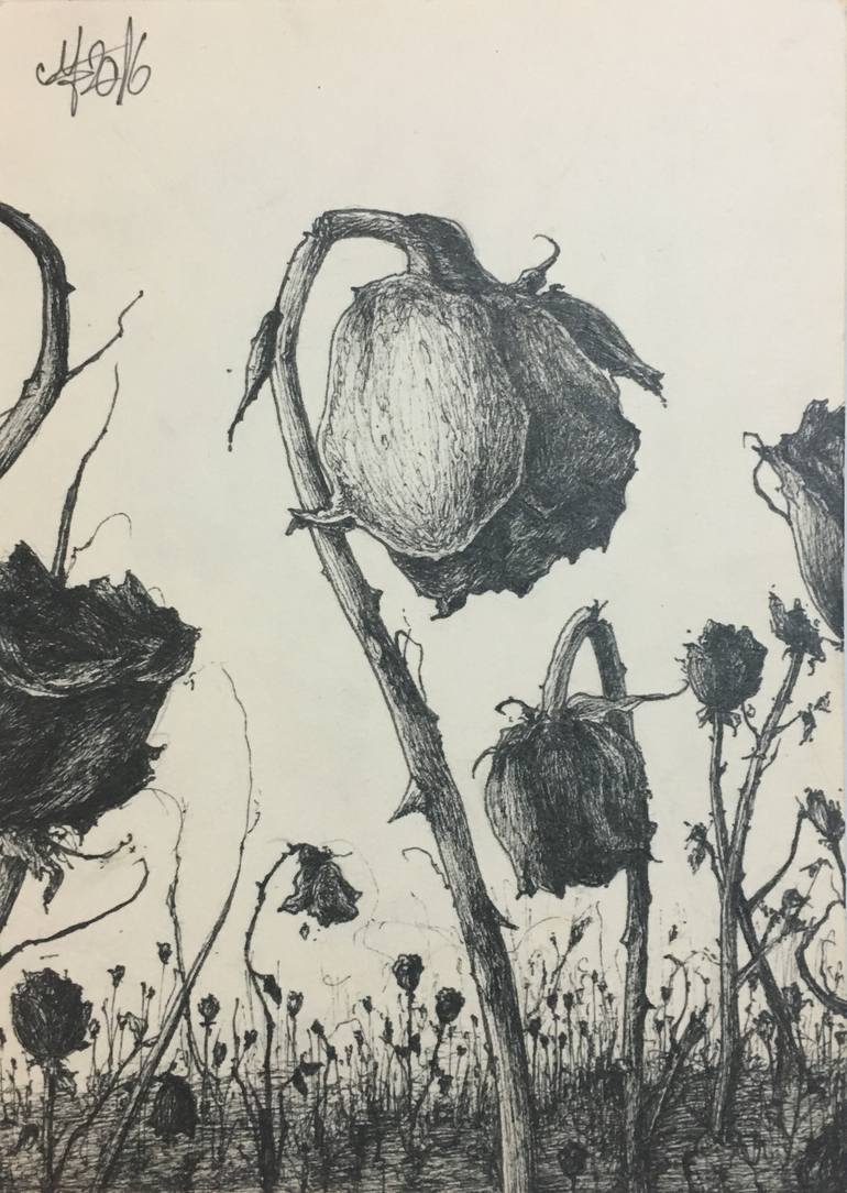 Dead Roses Drawing by George Muscalu | Saatchi Art