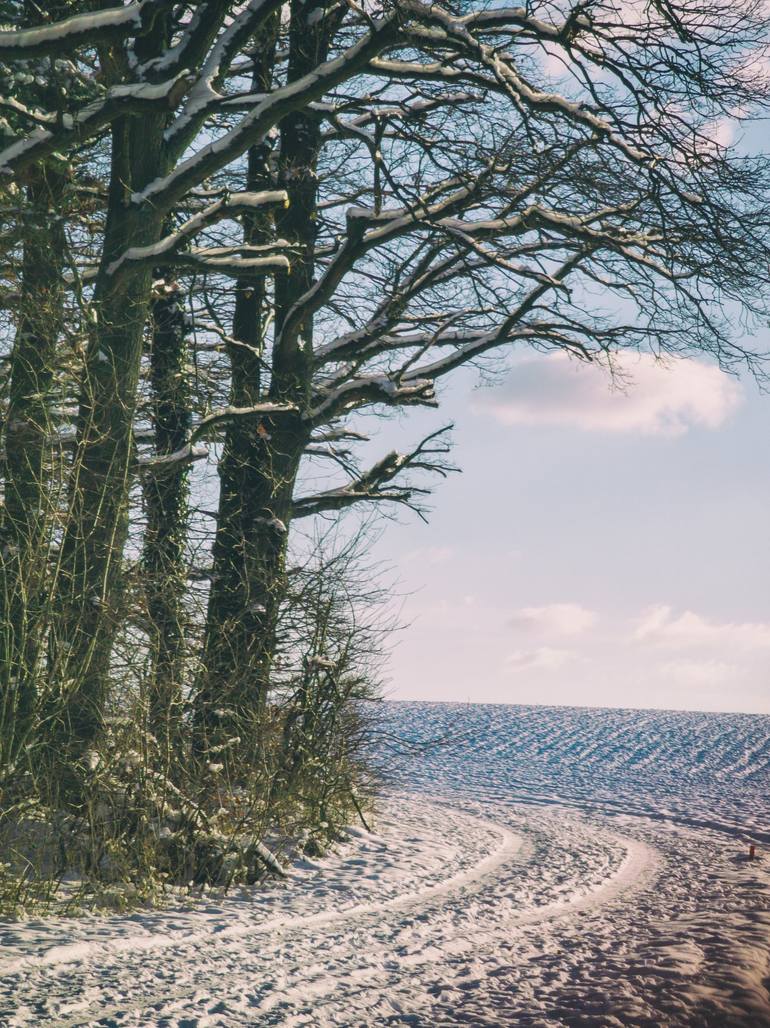 Field beach - Limited Edition of 3 Photography by Ingo Menhard ...