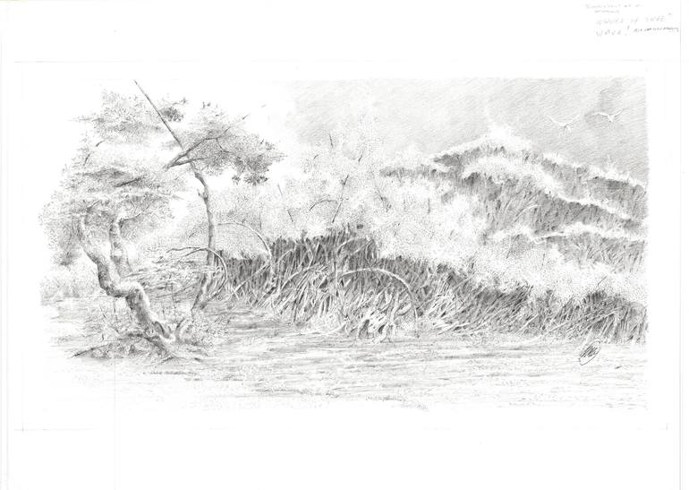 Movement to Metamorphosis Drawing by Michael Walsh | Saatchi Art