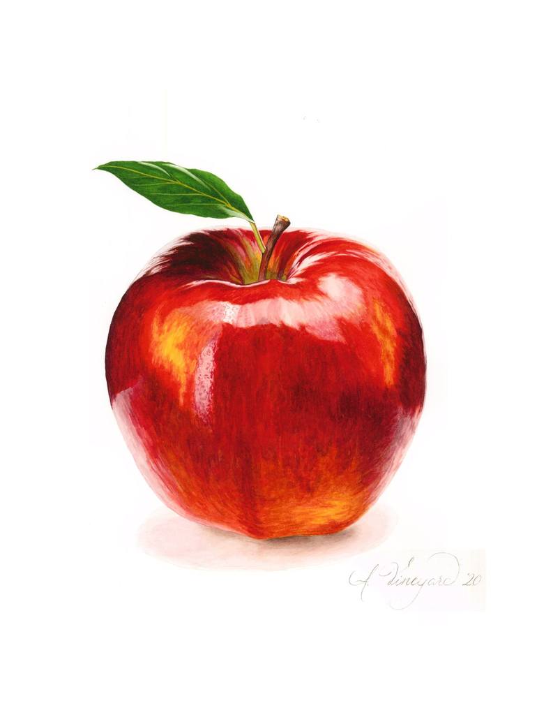 Shiny Apple Painting by Alicia Vineyard | Saatchi Art