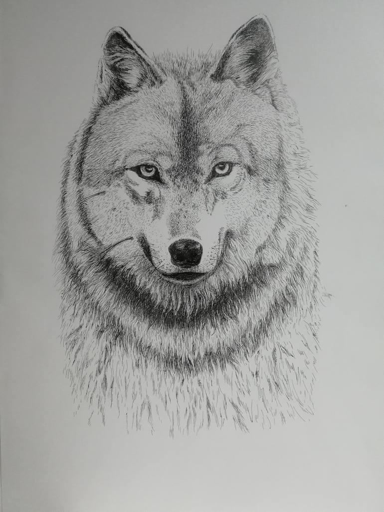 Wolf in the snow Drawing by Yuliya Philippova | Saatchi Art