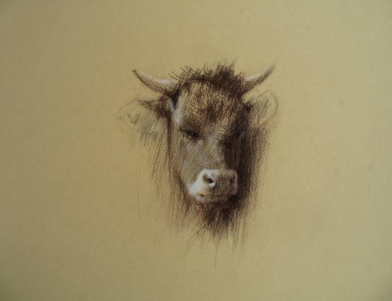 Young Bull Drawing by David Beglaryan | Saatchi Art
