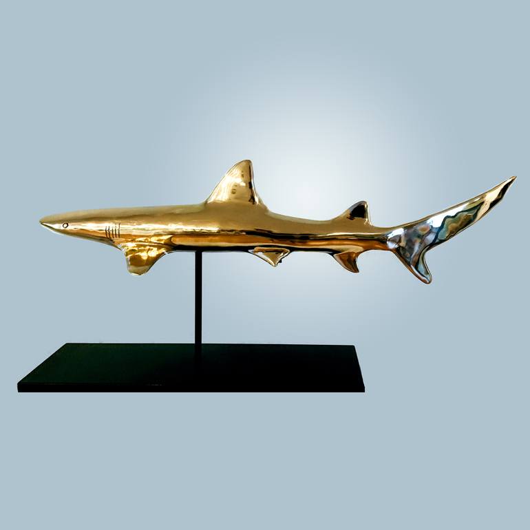 Shark Sculpture by Antony Fenn | Saatchi Art