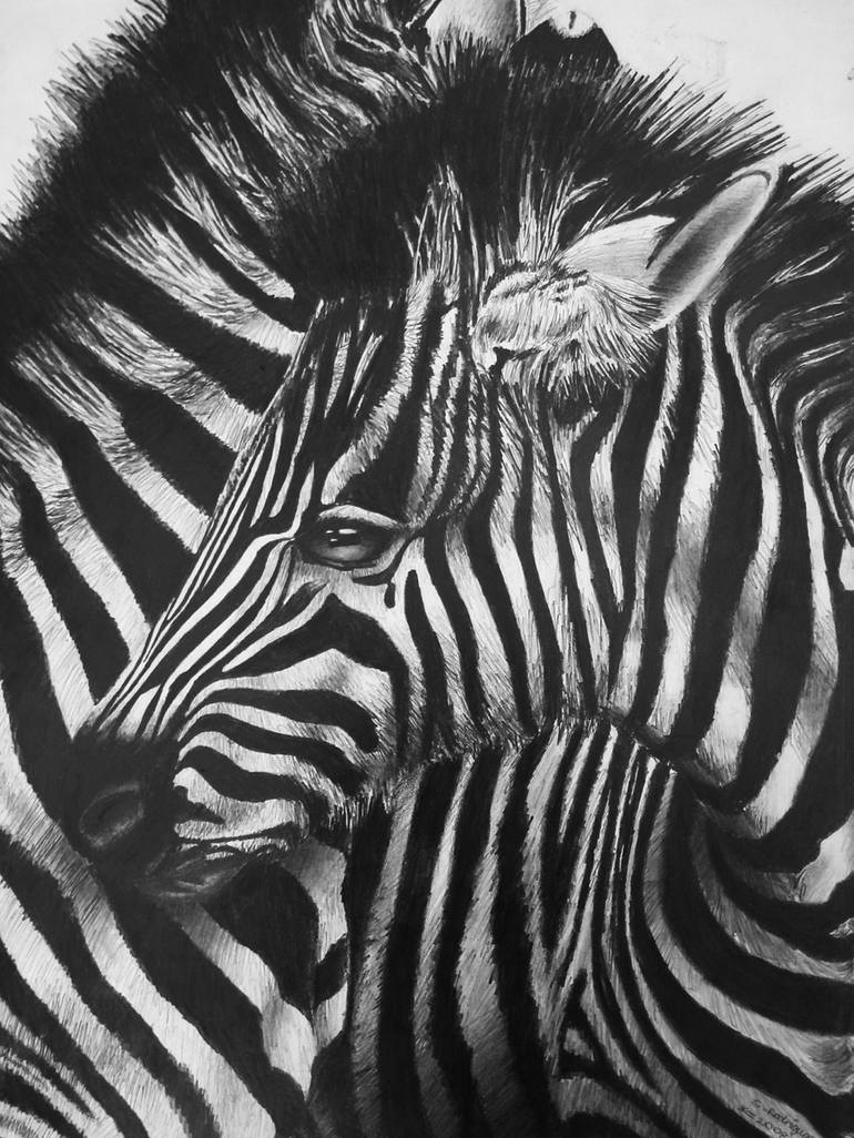 black and white Drawing by Shane Rodrigues | Saatchi Art