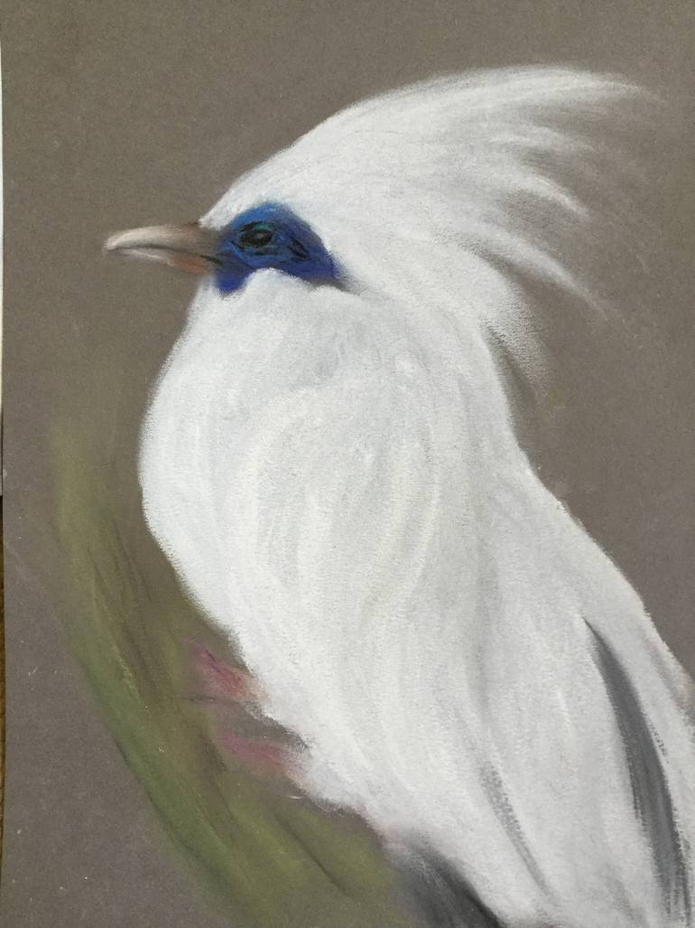 Bali Myna or Bali Mynah Drawing by Ani Arti | Saatchi Art
