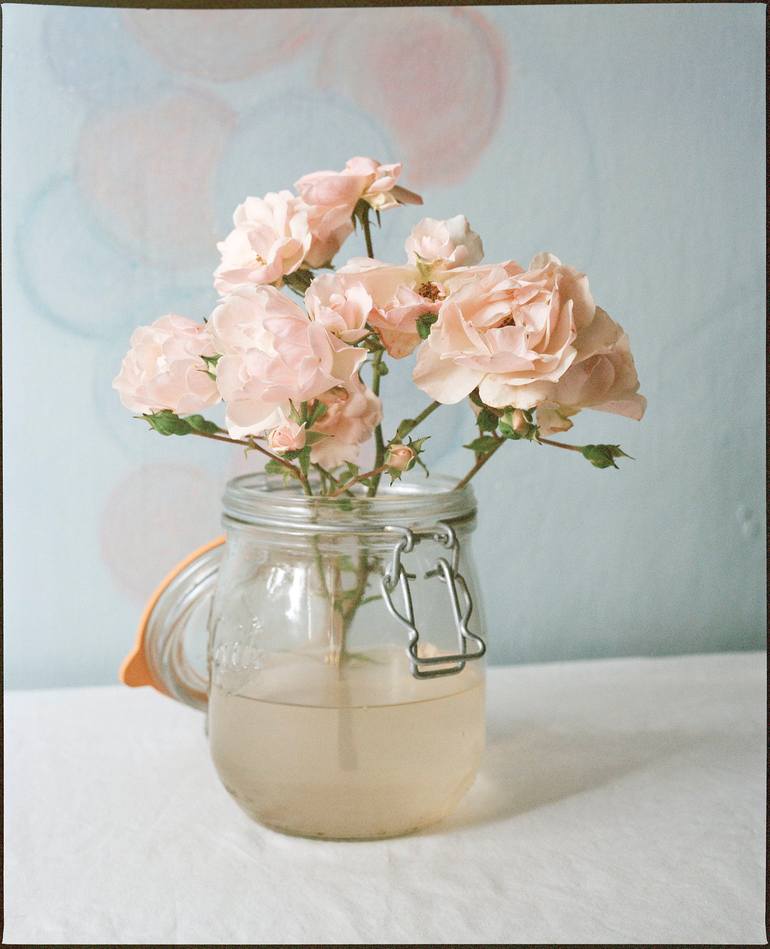 Pink Roses in Muddy Water (medium) - Limited Edition of 8 Photography ...