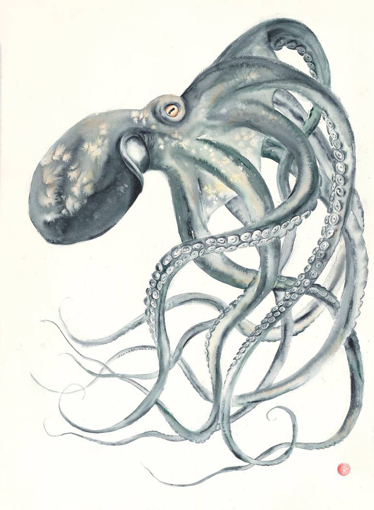 Curling octopus Painting by Katherine Smith | Saatchi Art