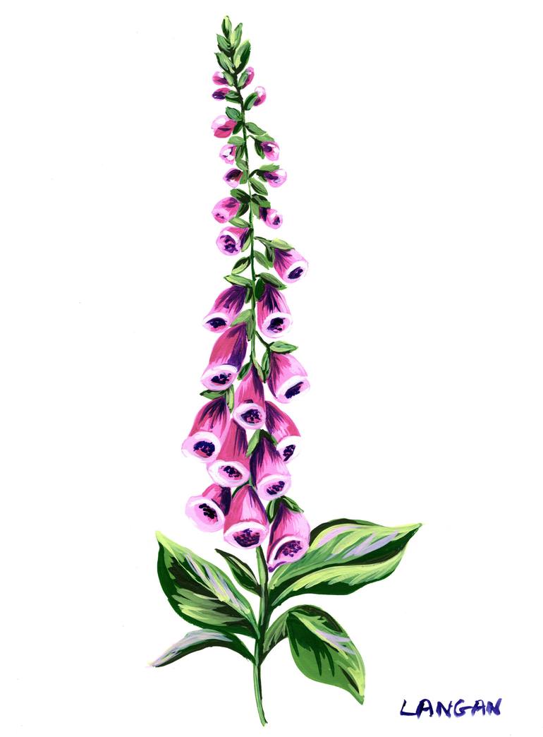 Foxglove Painting by Michelle Langan | Saatchi Art