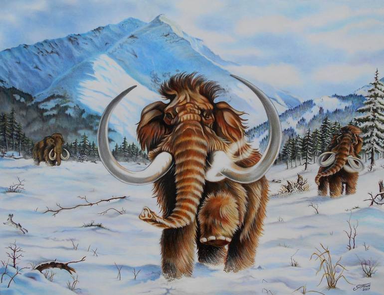 Woolly Mammoth Drawing by Taha Mansour | Saatchi Art