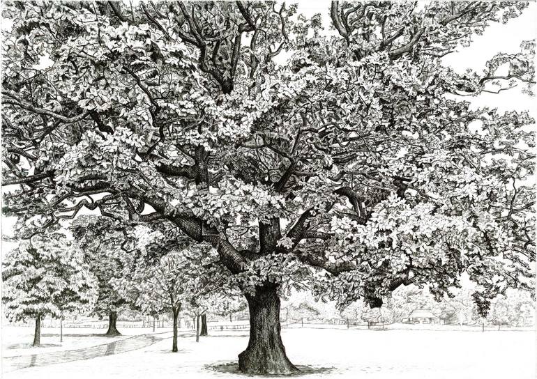 Dulwich Park, Damp Drawing by Andrew Mitchell | Saatchi Art
