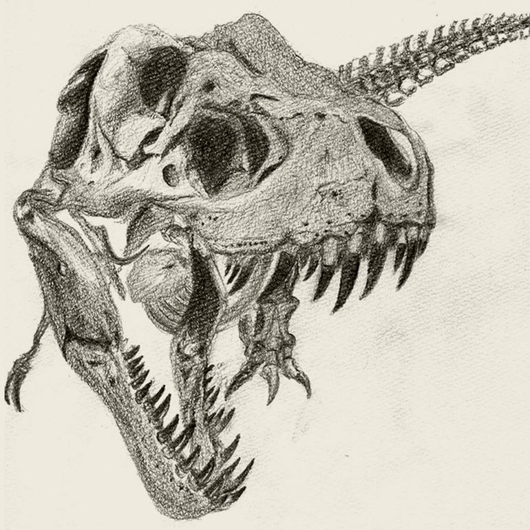 Tyrannosaur rex Drawing by Takumu Suzuki | Saatchi Art
