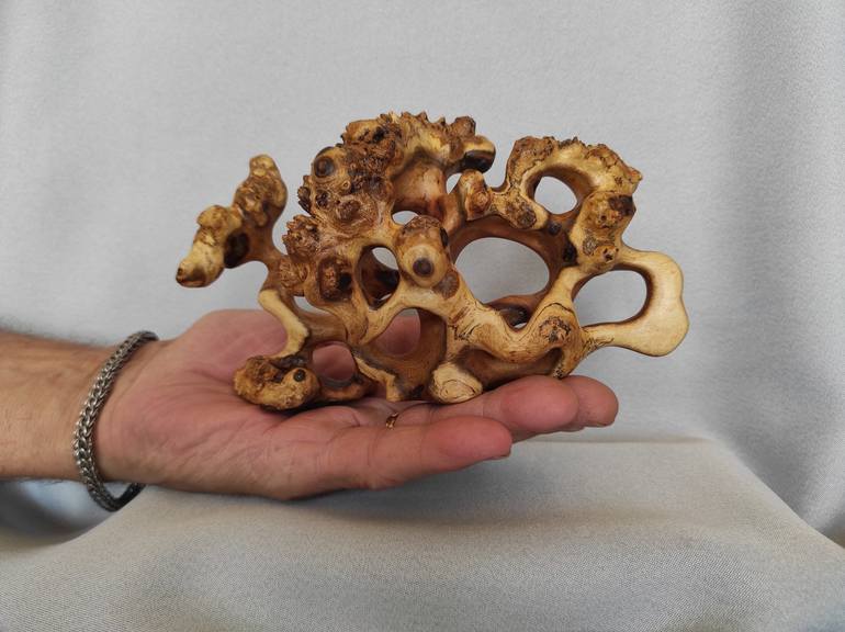 Coral Sculpture by Janos Mezei | Saatchi Art