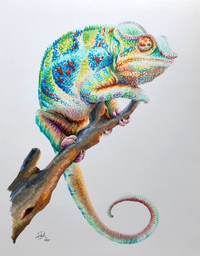 Chamaeleon Drawing by Andrea Isch | Saatchi Art
