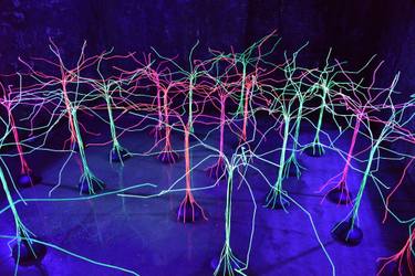 David Ogle | Saatchi Art