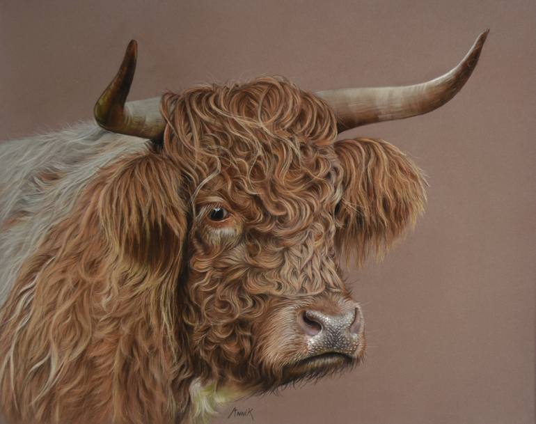 Scottish Highlander Drawing by Annik Janssens | Saatchi Art