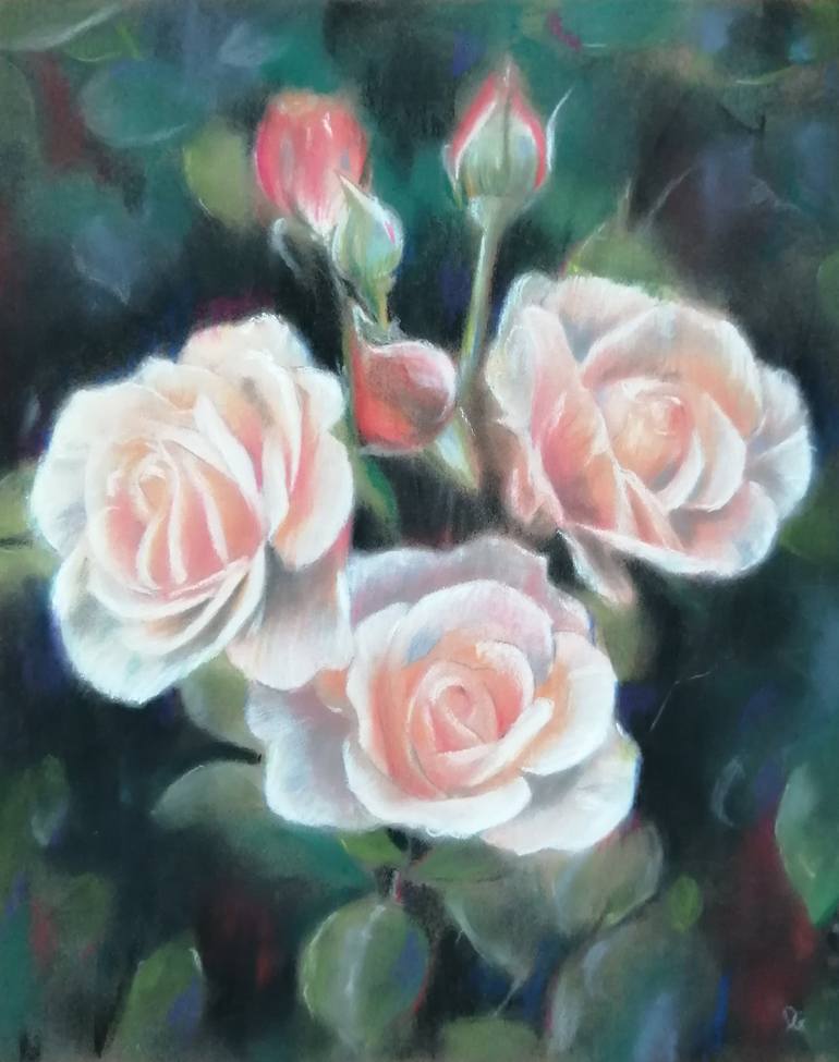 Peach Roses Drawing by Darren Golding | Saatchi Art