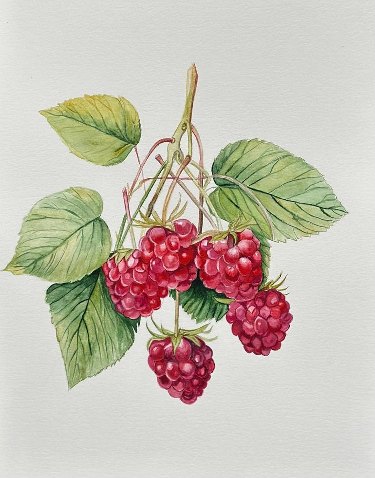 Raspberries Painting by Larisa Robins | Saatchi Art