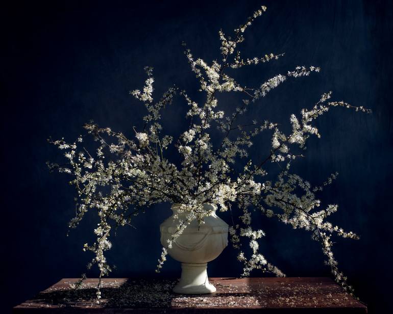 Sun Kissed #4 Photography by Diana Monkhorst | Saatchi Art