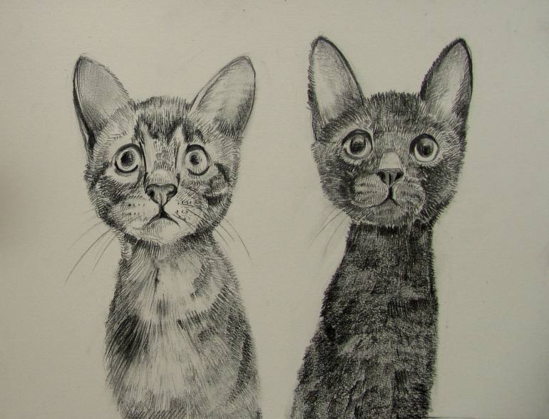 two cats Drawing by Juliana Tekova | Saatchi Art