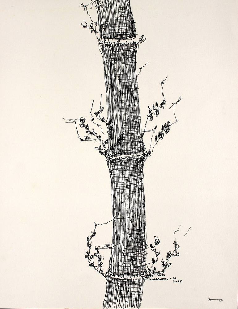 bamboo Drawing by Santhosh C H | Saatchi Art