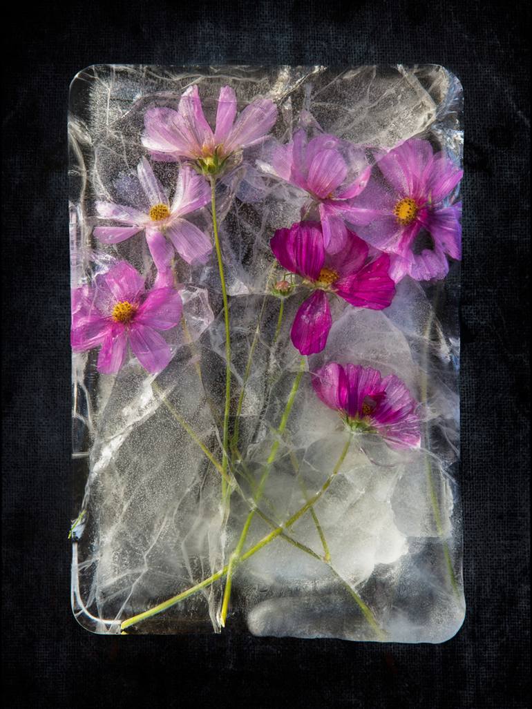 Violently Happy - Limited Edition of 10 Photography by Bruce Boyd ...