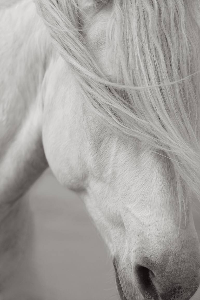 Hush - Limited Edition of 125 Photography by Drew Doggett | Saatchi Art