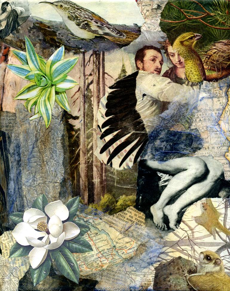 Metamorphosis #2 Collage by Thomas Terceira | Saatchi Art