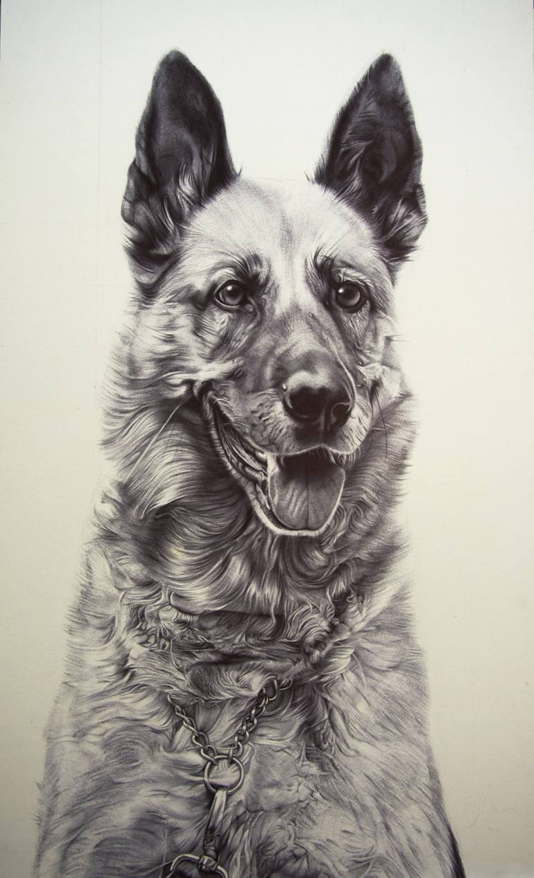 PELO Drawing by Eduardo Sanchez | Saatchi Art