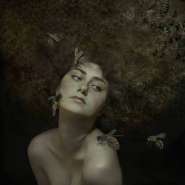 Trini Schultz | Saatchi Art