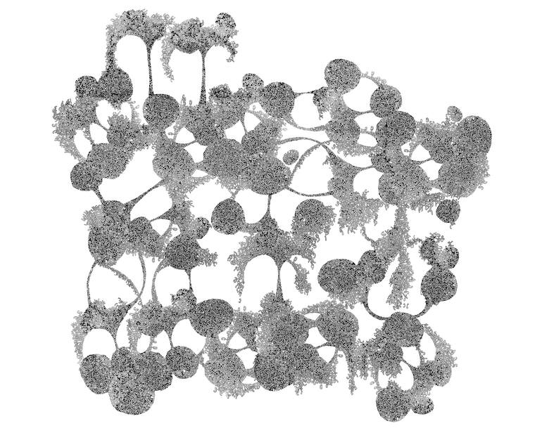 micro drawing in black and white Drawing by Maria Marta Fasoli ...