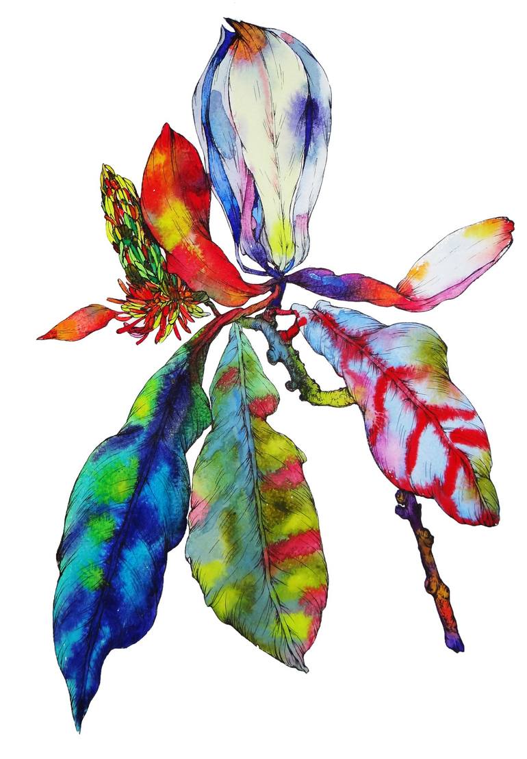 Magnolia Bloom Painting by Sofia Perina-Miller | Saatchi Art