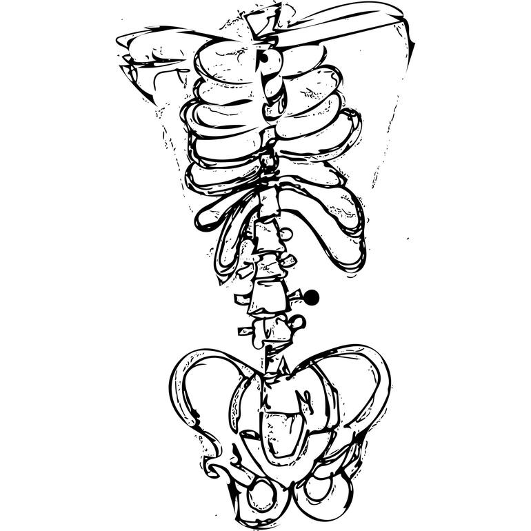 Skeleton Drawing by Abdalla Skandar | Saatchi Art
