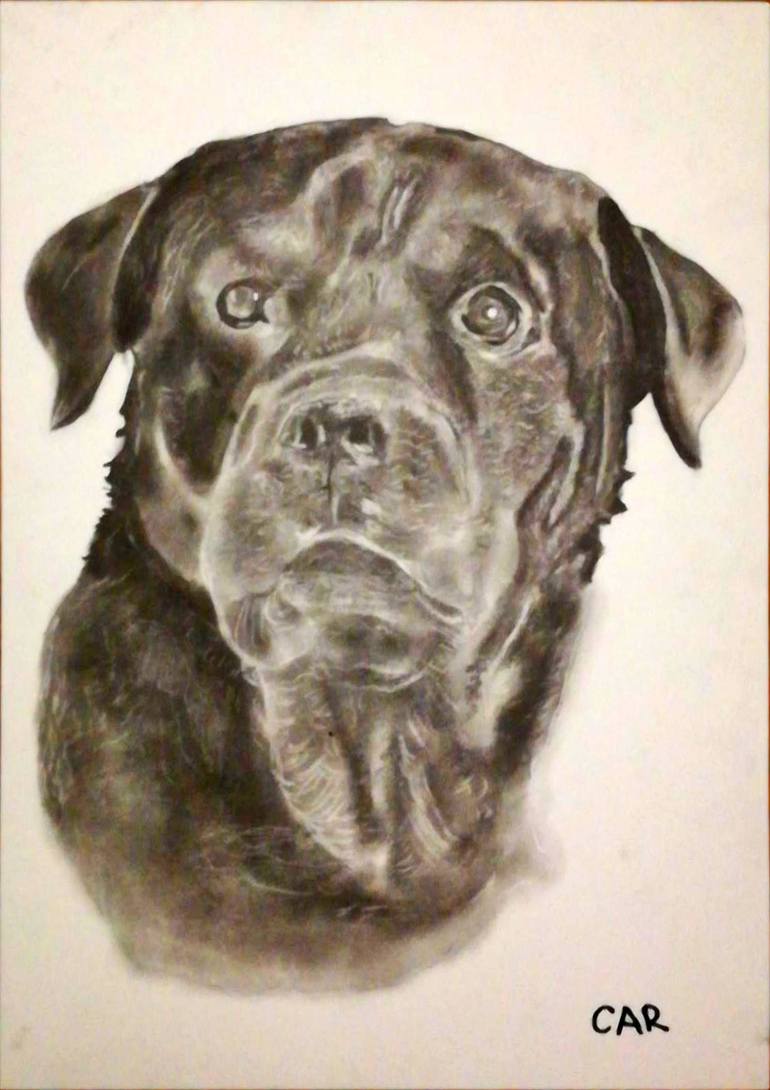 PORTRAIT OF ROTTWEILER Drawing by Filip Car | Saatchi Art