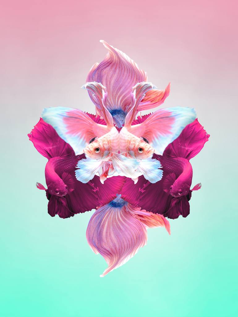 Double Fish - Limited Edition of 12 Photography by Marlies Plank ...