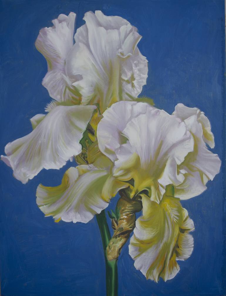 White iris Painting by Antonio Batsakis | Saatchi Art