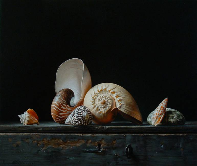 Still life with shells 1 Painting by Roman Reisinger | Saatchi Art