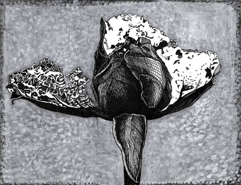 FROZEN ROSE Drawing by Nives Palmic | Saatchi Art