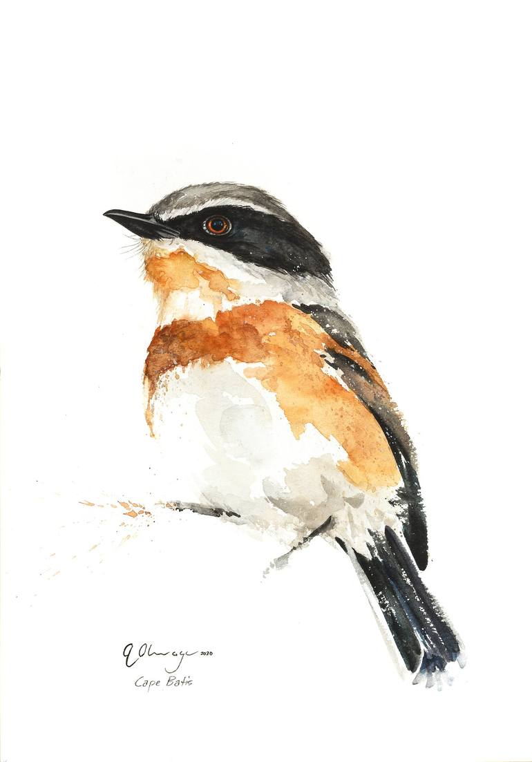 Cape Batis female 2 Painting by Andre Olwage | Saatchi Art
