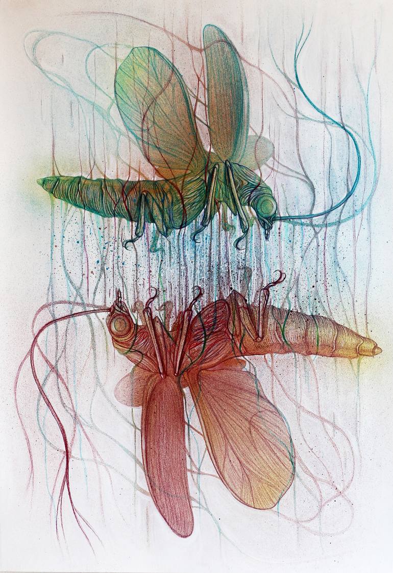 ``Unity`` Drawing by Jovan Curcic | Saatchi Art