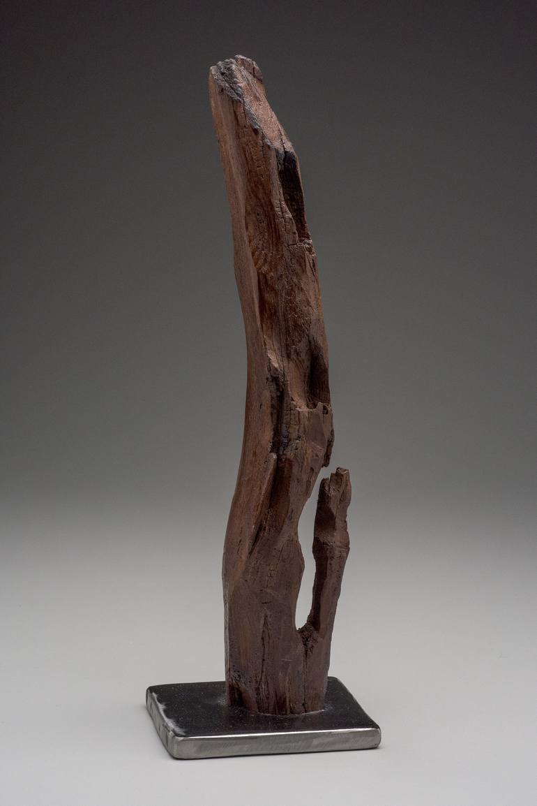 Bois d'arc #3 Sculpture by Curtis Frederick | Saatchi Art