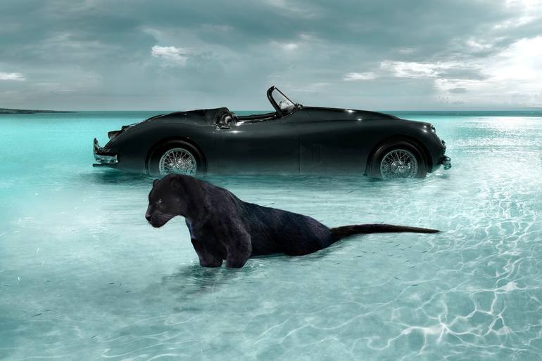 Good Vibrations (Frame incl.) - Edition of 2 Photography by Cheraine ...