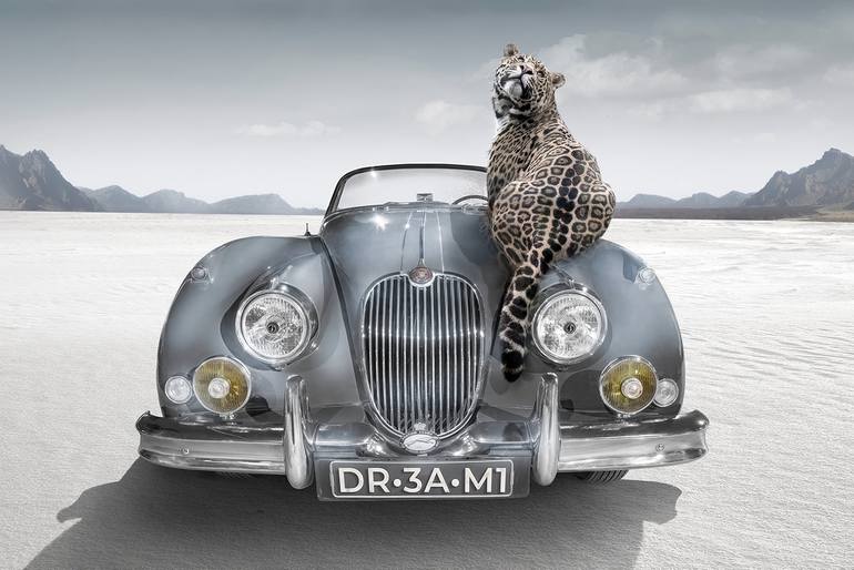 Dream Dream Dream (Frame incl.) - Edition of 2 Photography by Cheraine ...
