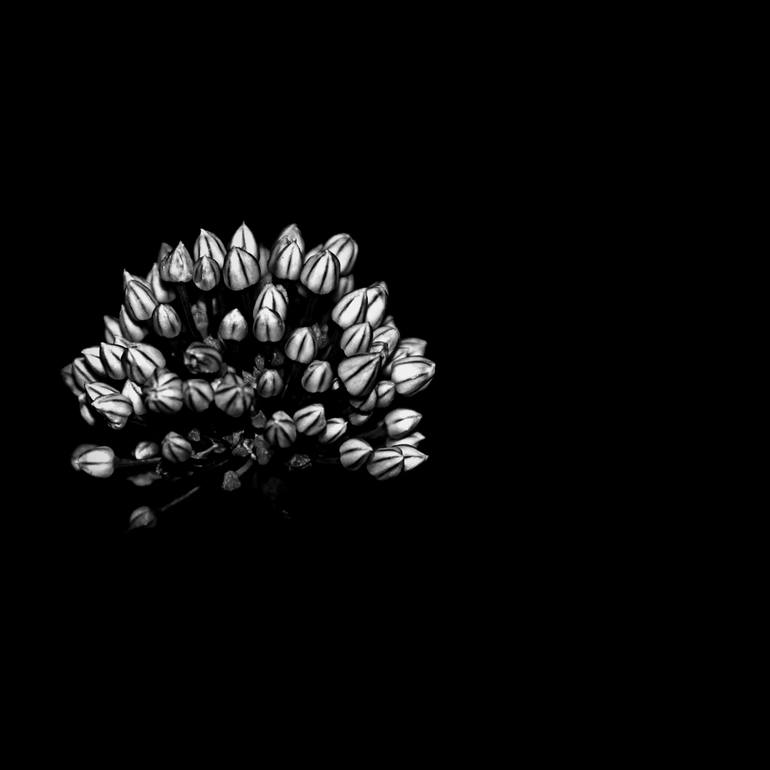 Flare - Limited Edition 2 of 5 Photography by Dev Banerjee | Saatchi Art