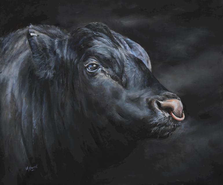 Aberdeen Angus bull Painting by Una Hurst | Saatchi Art