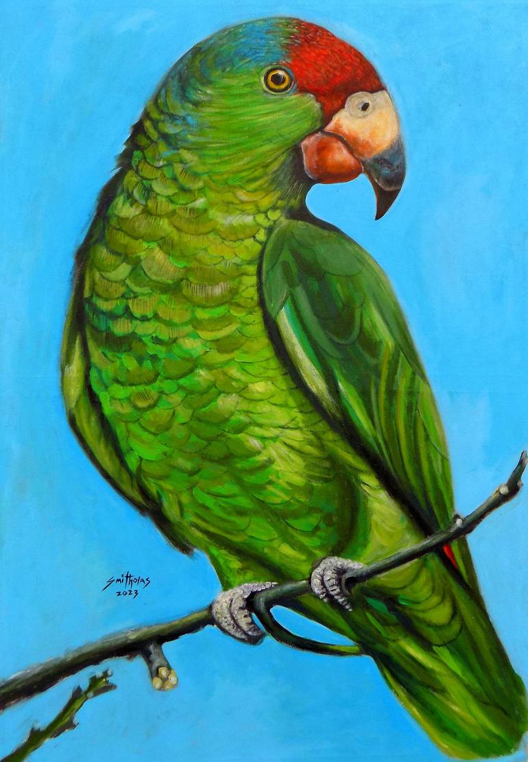Oh Parrot Painting by Smith Olaoluwa | Saatchi Art