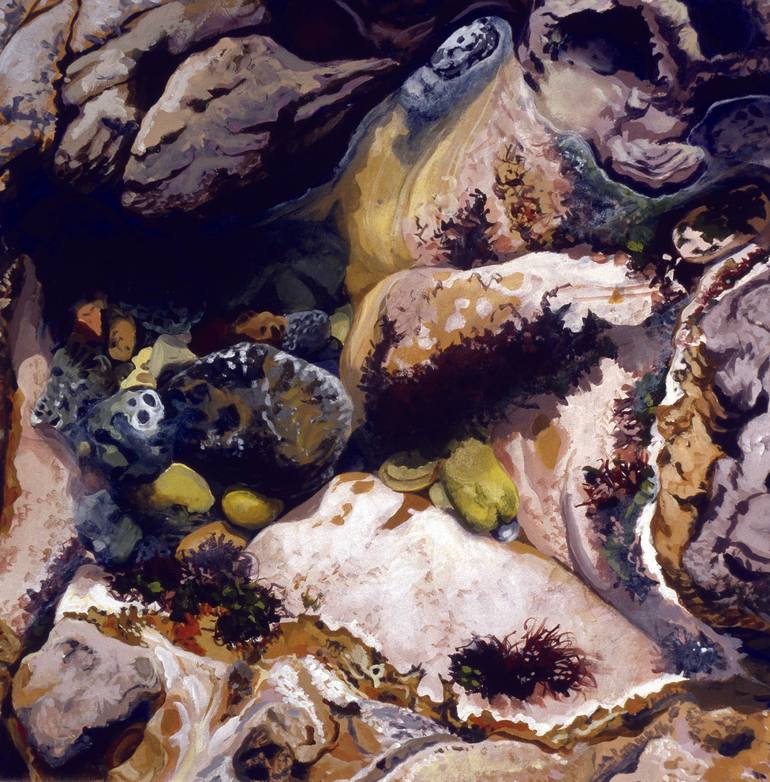 Lindisfarne Rock Pool Series - Set of 10 Paintings Painting by Anna ...