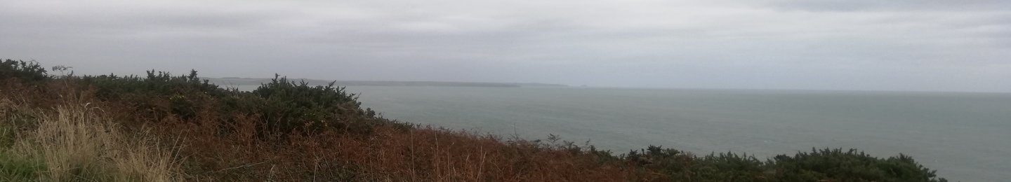 Karin Aherne Jansen | Saatchi Art