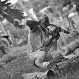 Alex Boucaud | Saatchi Art Australia